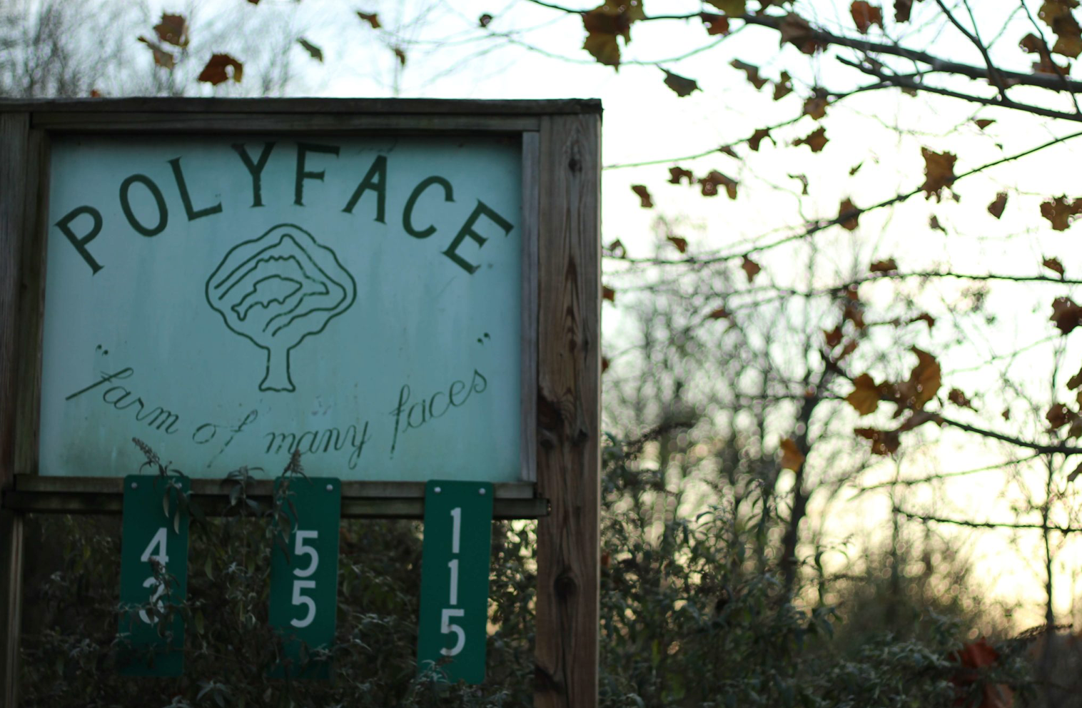 Lady Farmer Visits Polyface Farm in Swoope, VA – Lady Farmer Marketplace